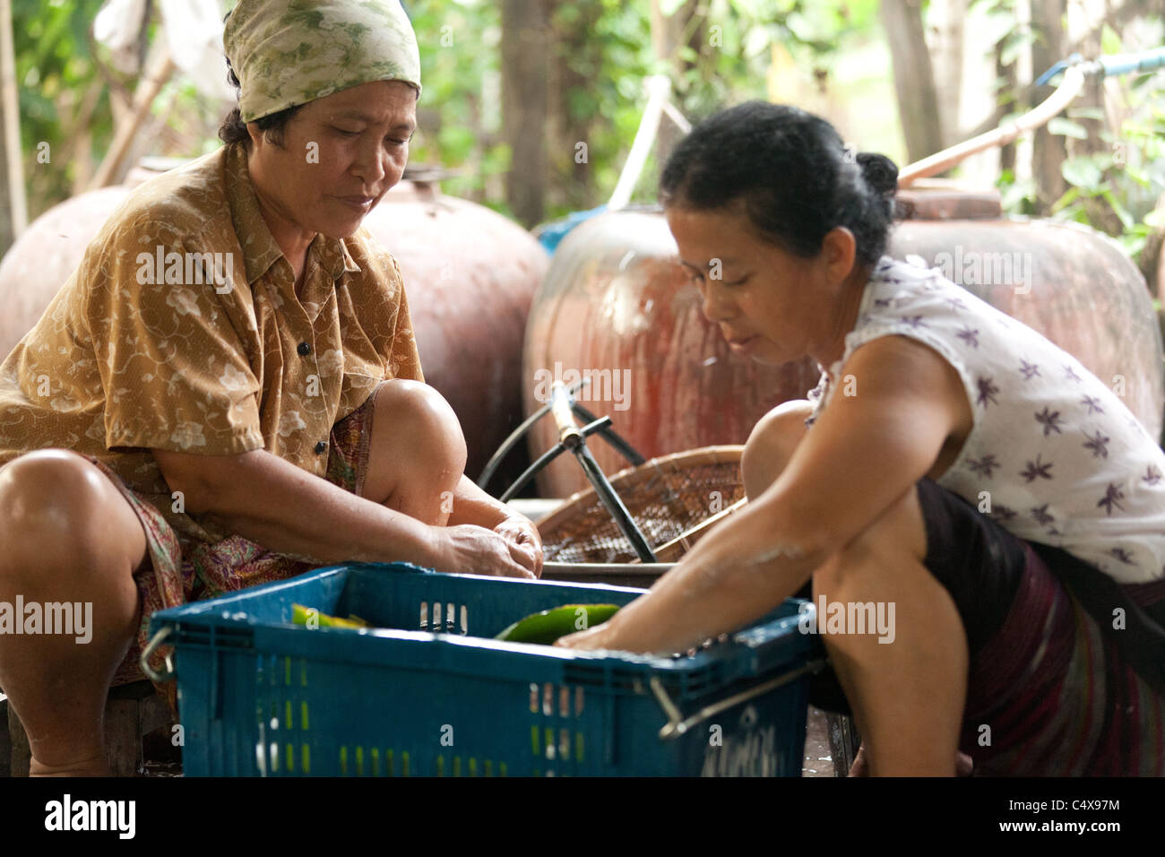 Traditional thai rice noodles homemade factory early in the morning ...