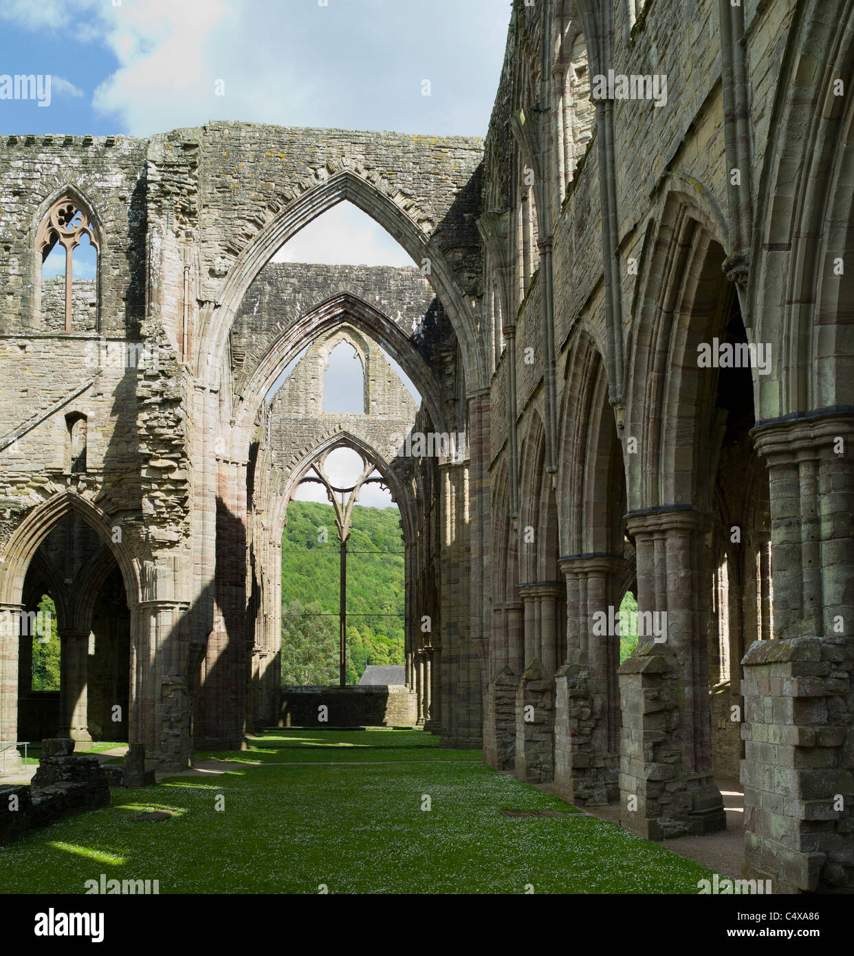 Tintern Abbey in the Wye Valley, Wales Stock Photo - Alamy