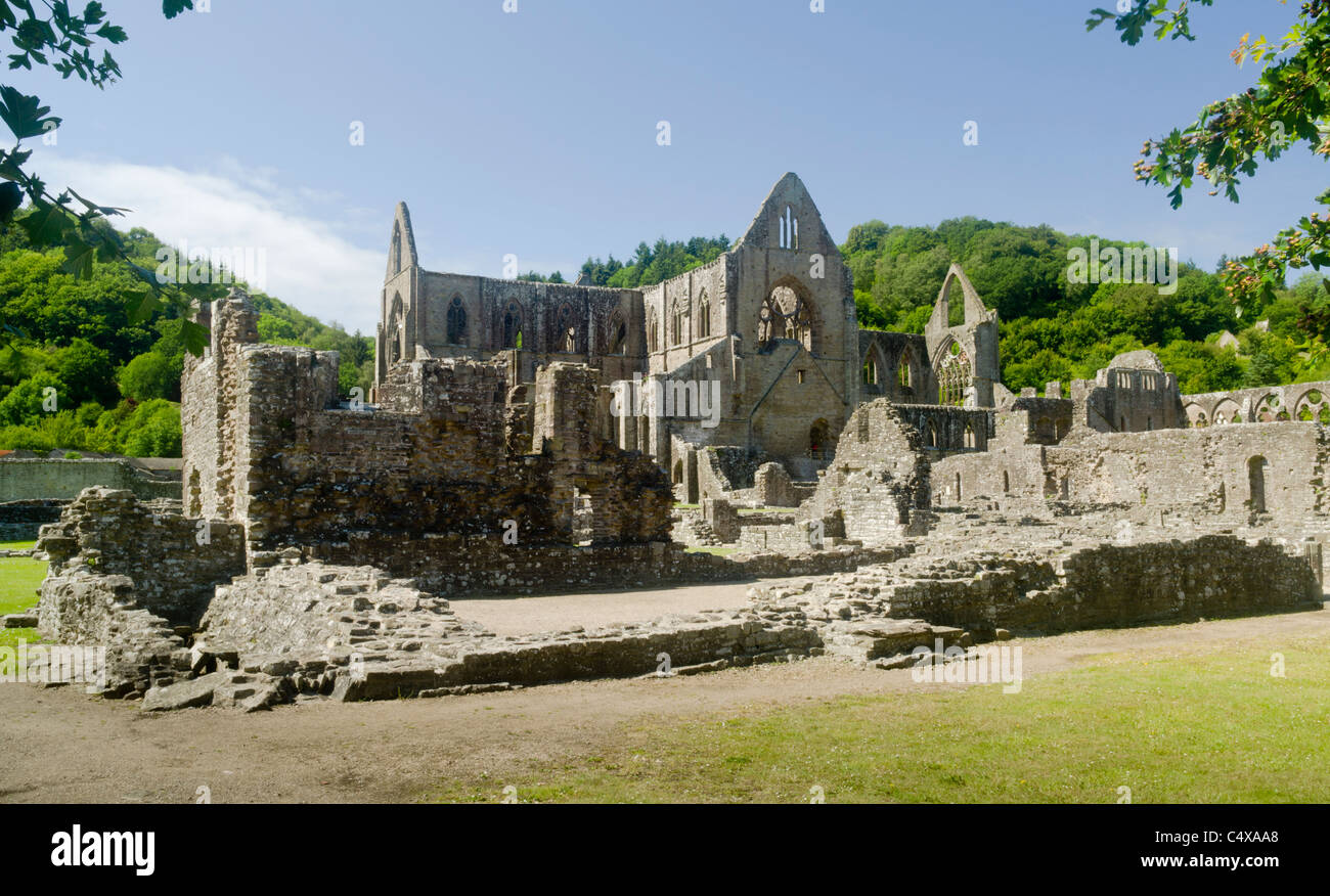 Tintern Abbey in the Wye Valley, Wales Stock Photo - Alamy