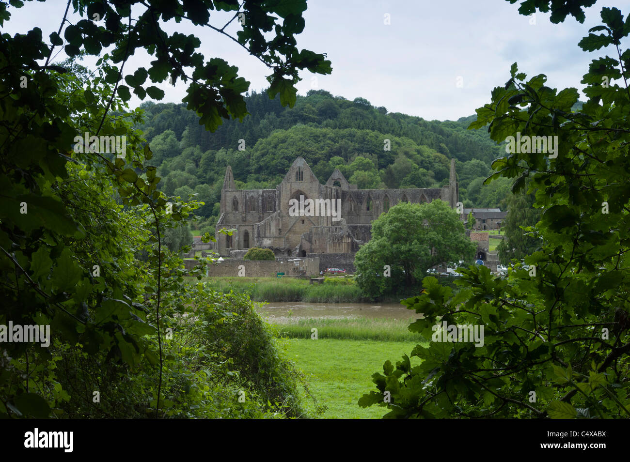 Tintern Abbey in the Wye Valley, Wales Stock Photo - Alamy
