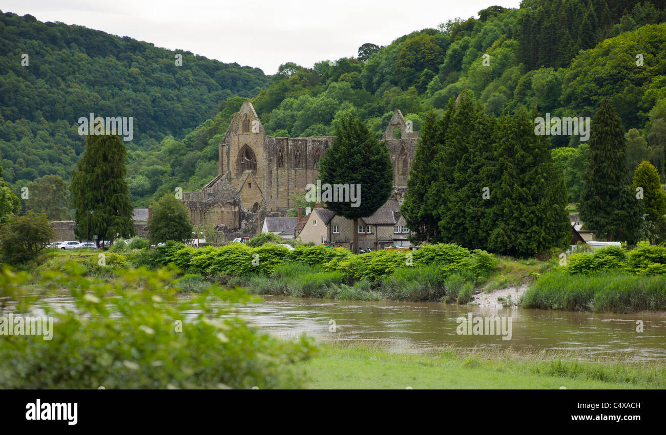 Tintern Abbey in the Wye Valley, Wales Stock Photo - Alamy