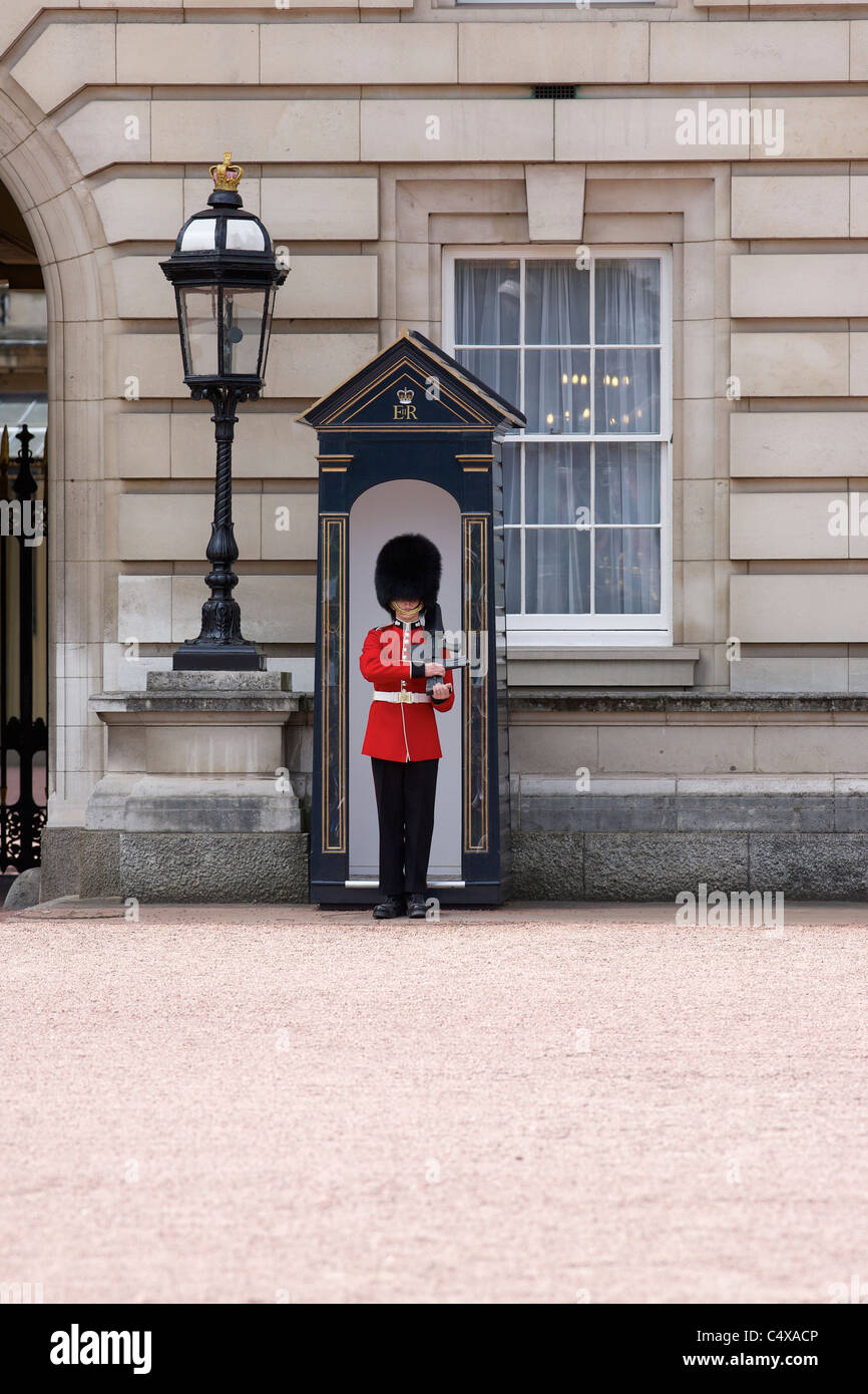 Royal Guard Buckingham Palace London England Stock Photo - Alamy