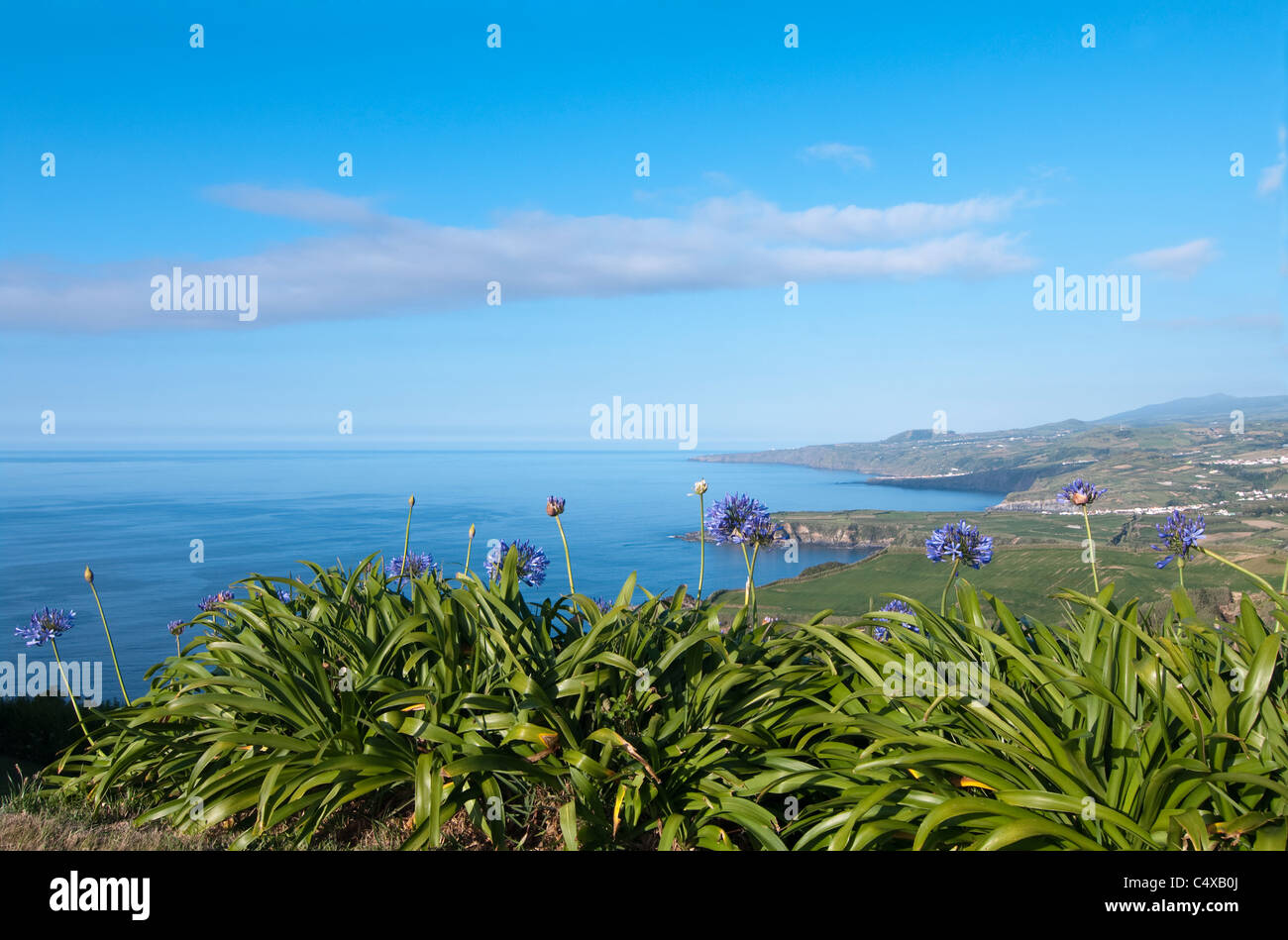 Landscape from the North coast of St Michaels Island, in the Azores ...