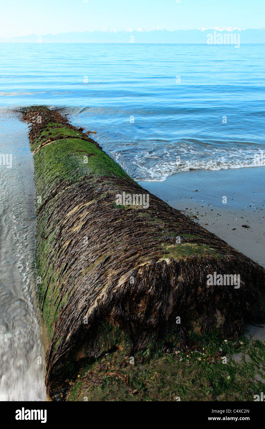 Sewer pipe hi-res stock photography and images - Alamy