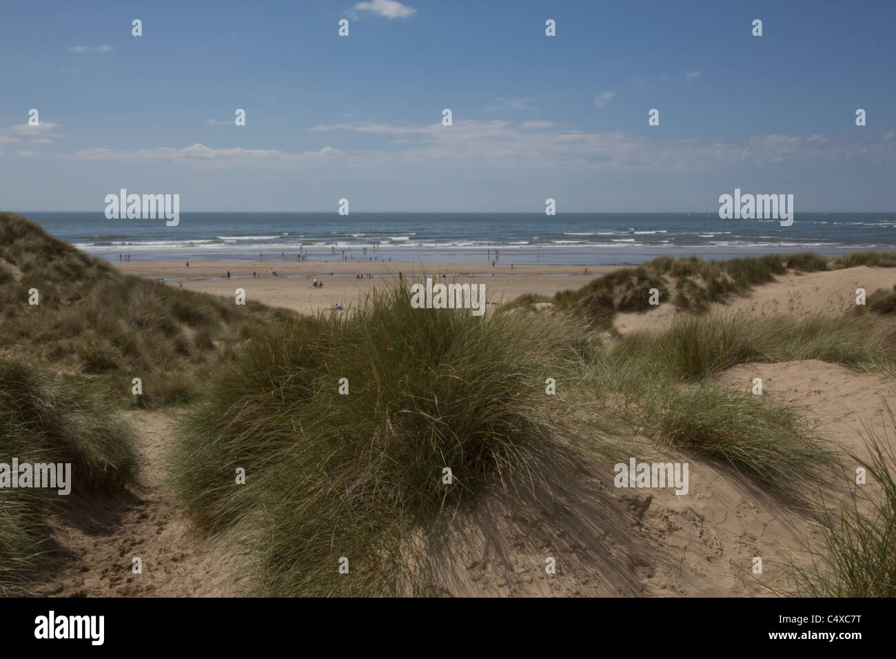 Seaside sand dunes Stock Photo - Alamy