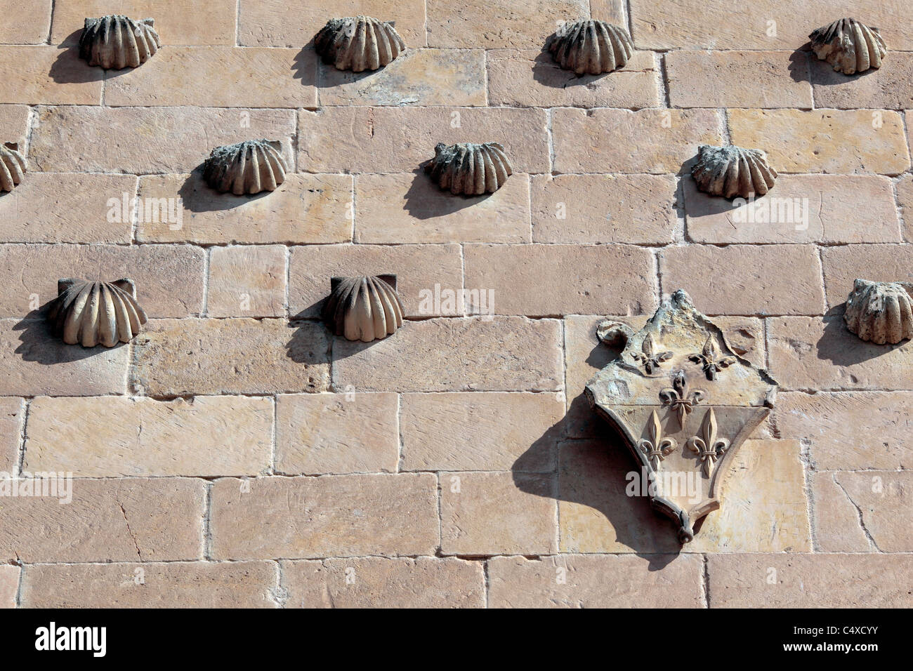 Salamanca house of shells hi-res stock photography and images - Alamy