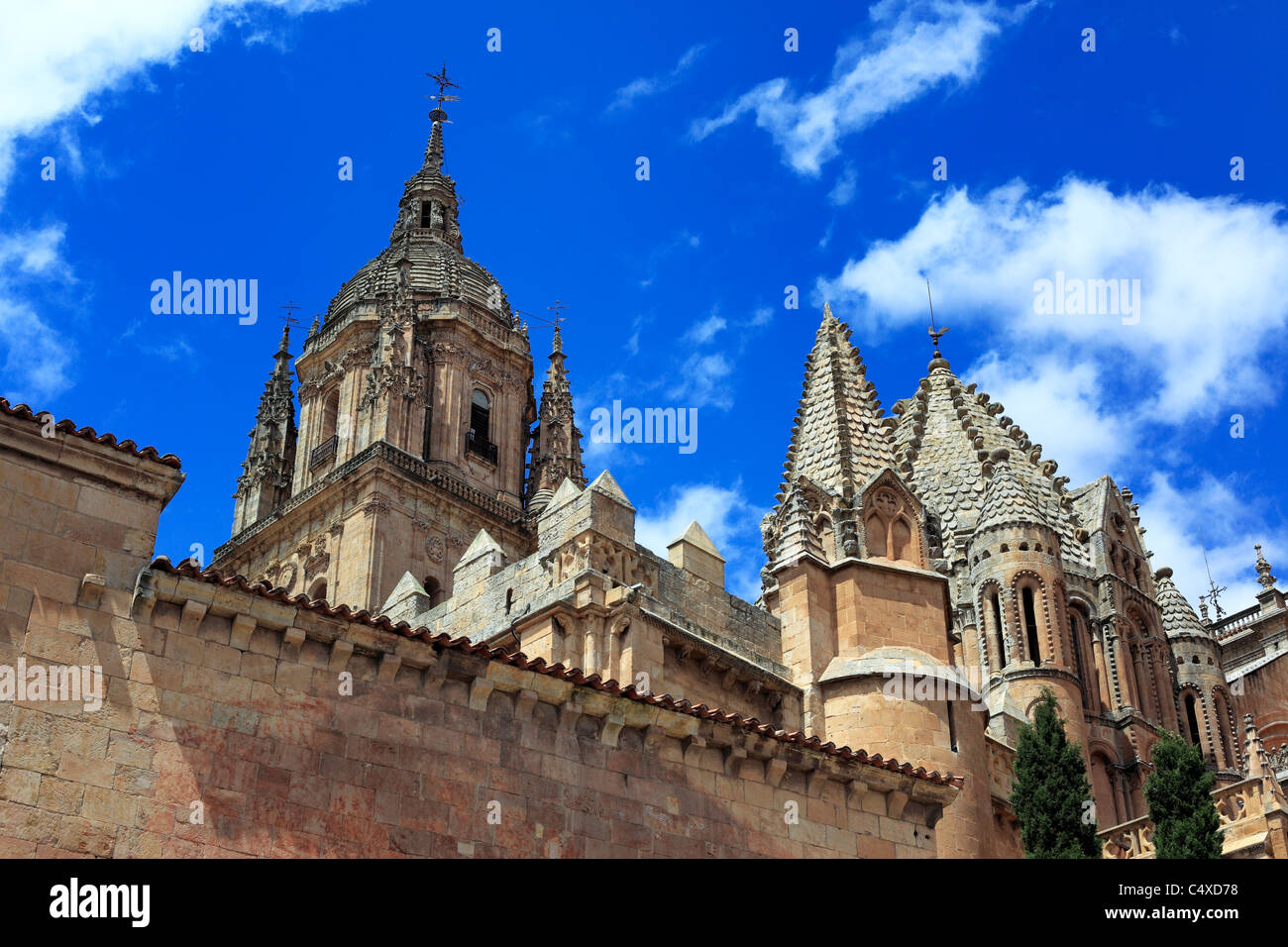 New Cathedral (Catedral Nueva), Salamanca, Castile and Leon, Spain ...