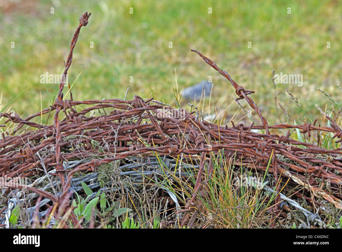 Rusted wire hi-res stock photography and images - Alamy