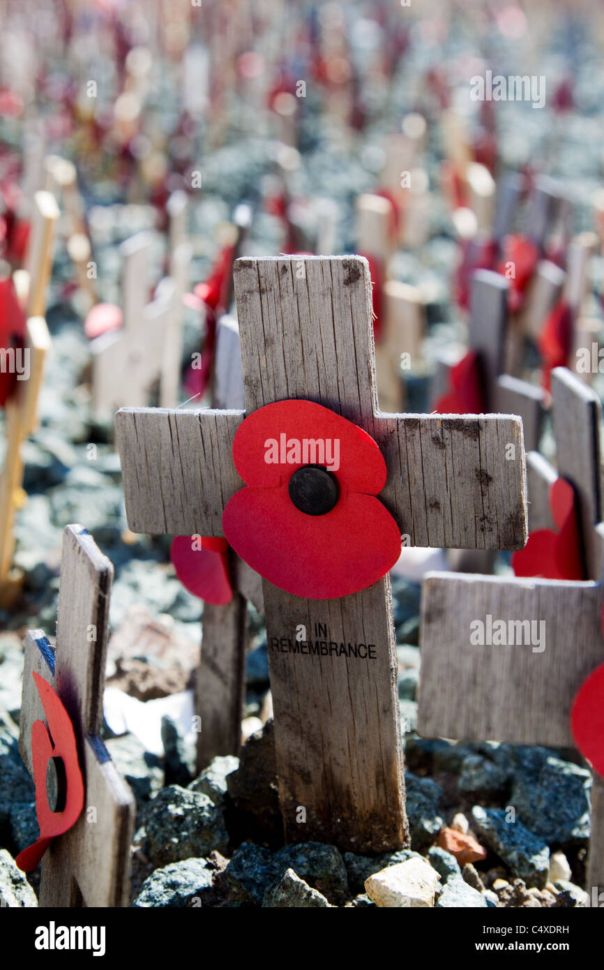 Memorial wooden cross poppy hi-res stock photography and images - Alamy