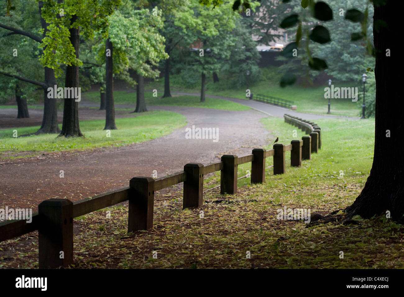 A scenic of Central Park Stock Photo - Alamy