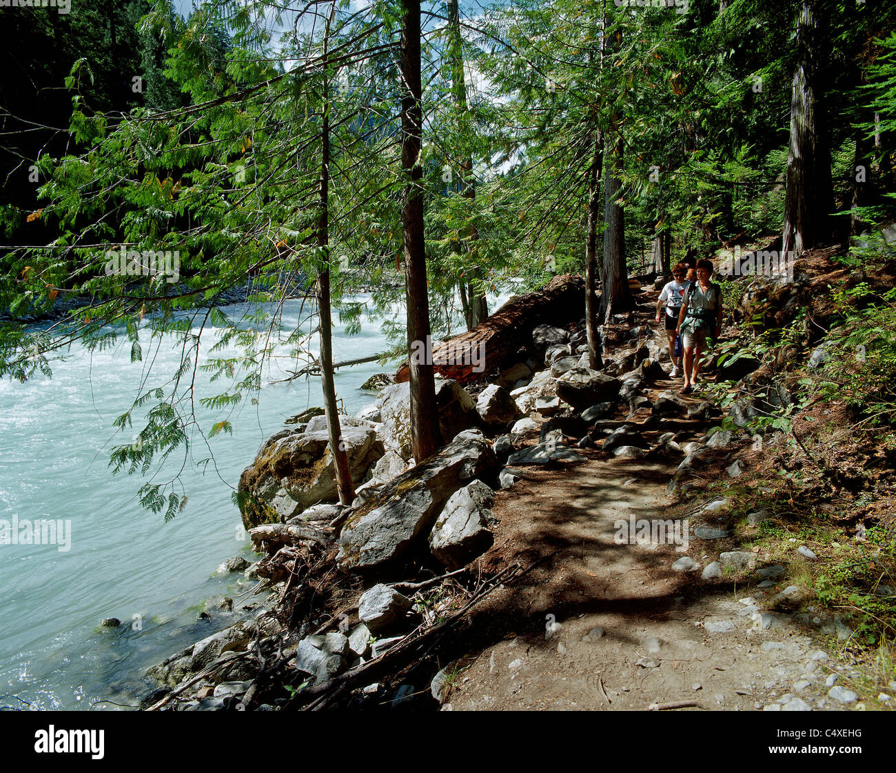 Path in forest by the river Stock Photo - Alamy