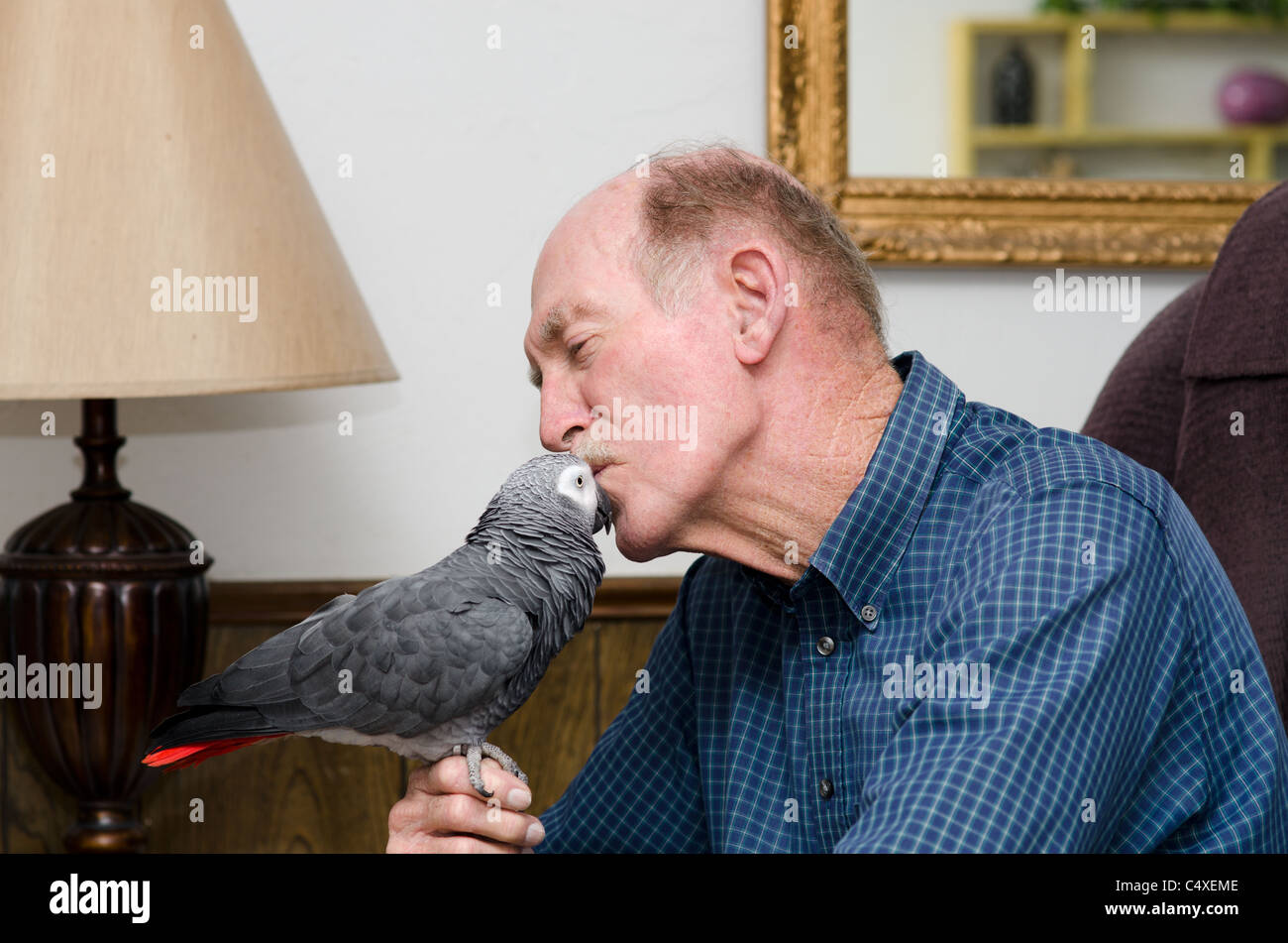The bald parrot hi-res stock photography and images - Alamy