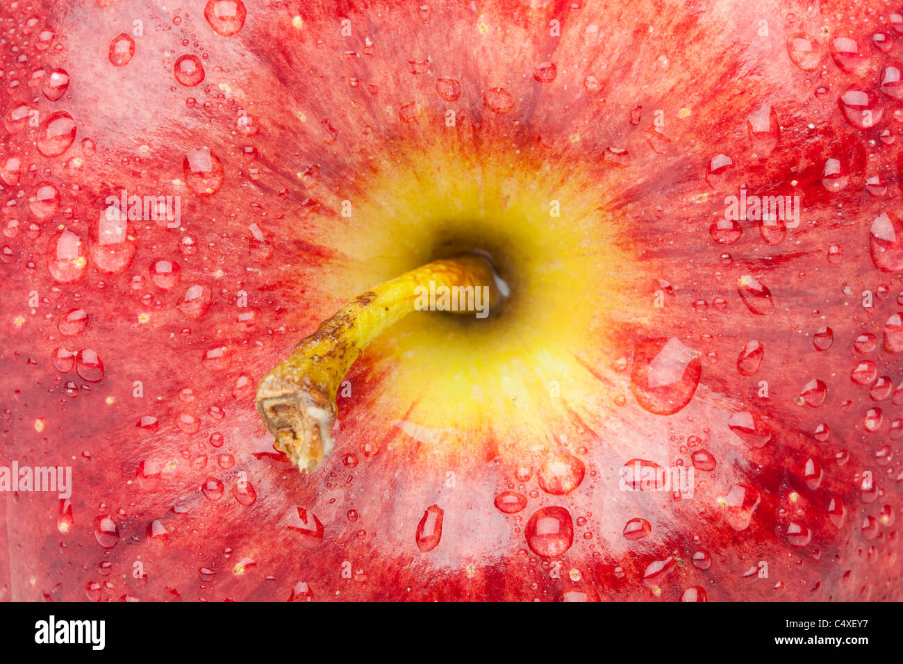A fresh red delicious apple close up Stock Photo - Alamy