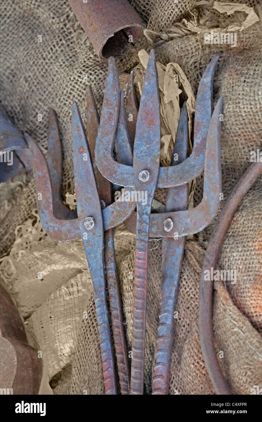 Trishul, Holy Symbol, weapon of Lord Shiva for Sale at Marketplace ...