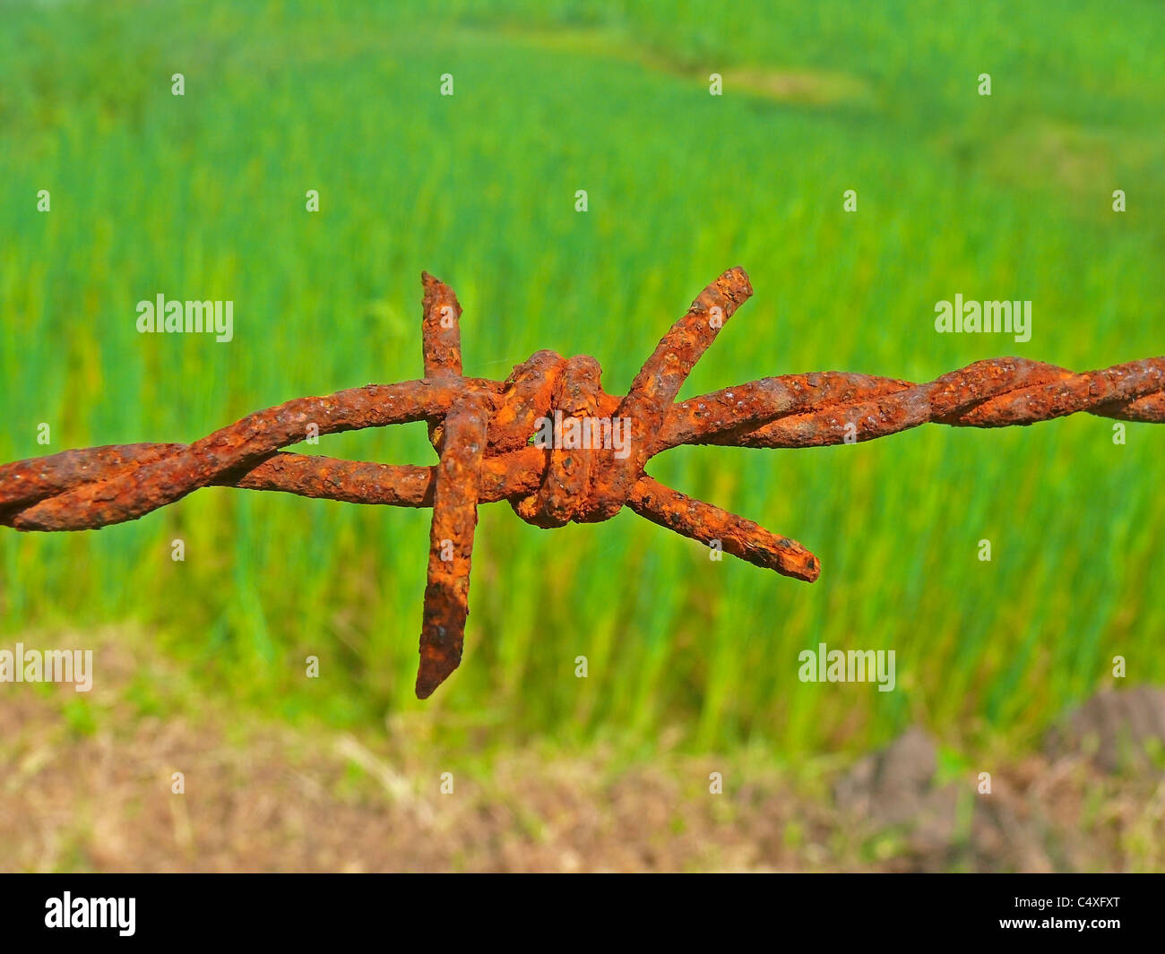 Close-up of Razor Wire compound Stock Photo - Alamy