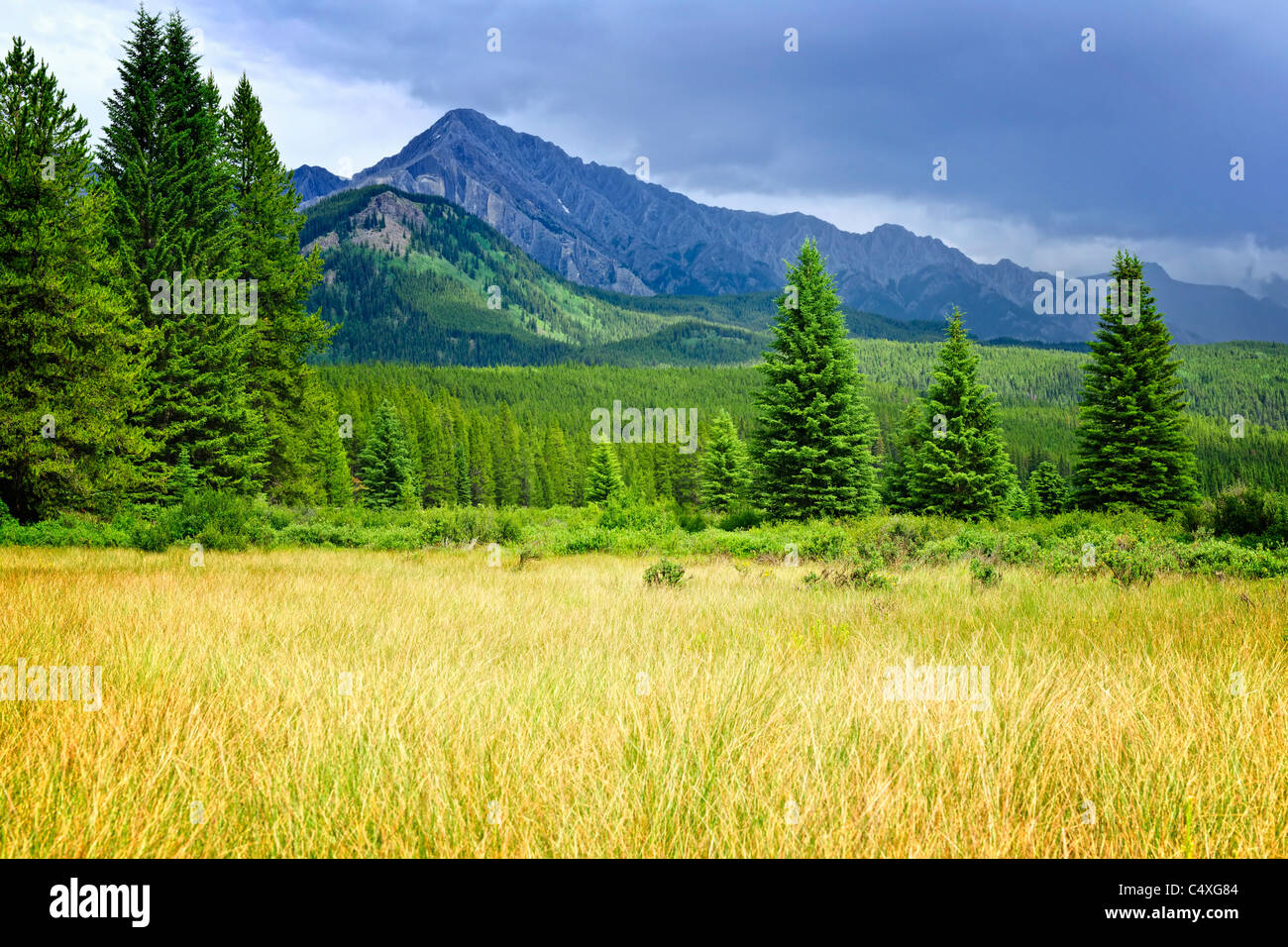 Scenic view from Bow Valley parkway on Rocky mountains in Banff ...