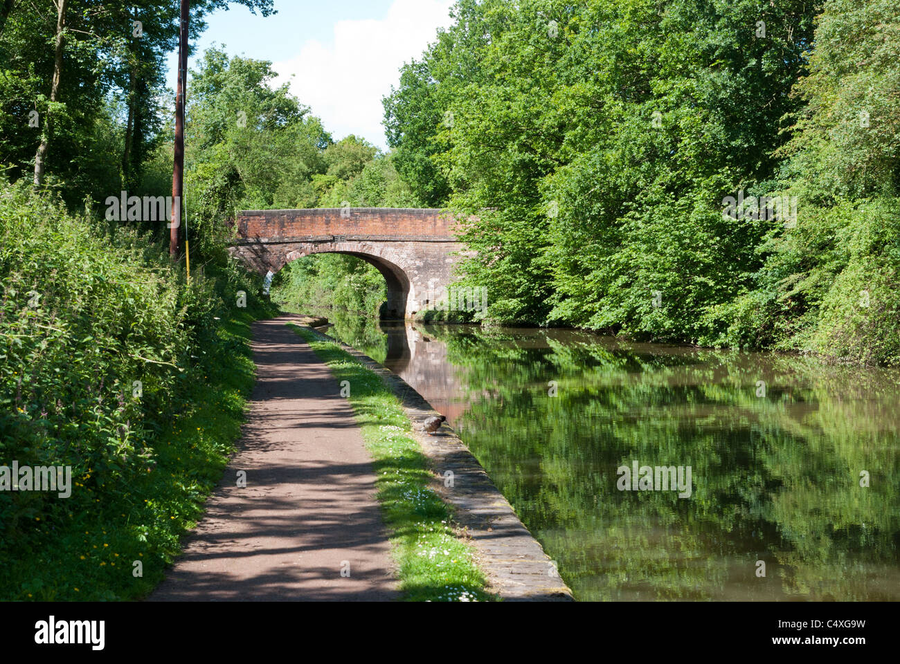Tardebigge Locks on the Birmingham and Worcester Canal Stock Photo - Alamy