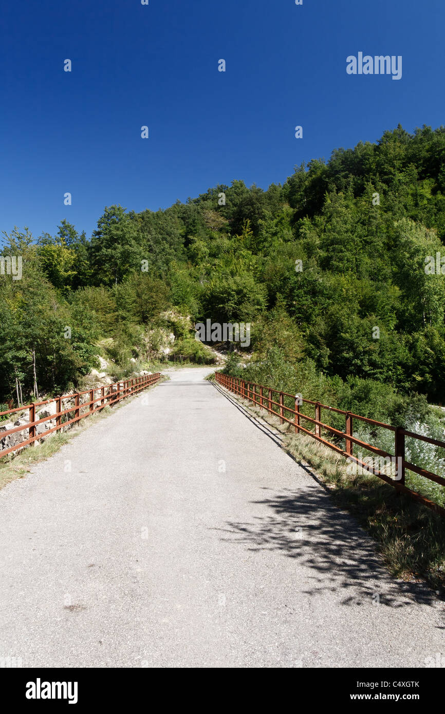 country road between trees under a bright blue sky Stock Photo - Alamy