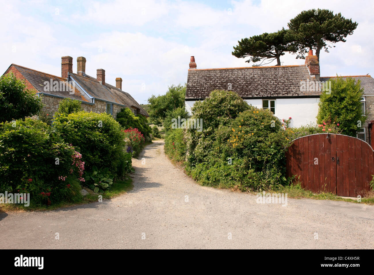 The small village of Sutton Poyntz in Dorset Stock Photo - Alamy