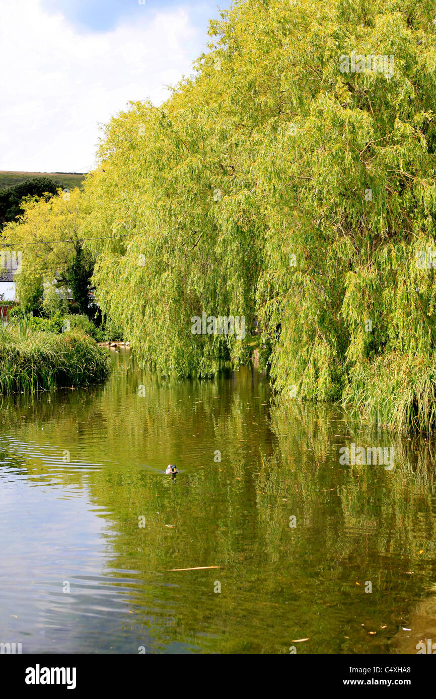 Sutton place water hi-res stock photography and images - Alamy