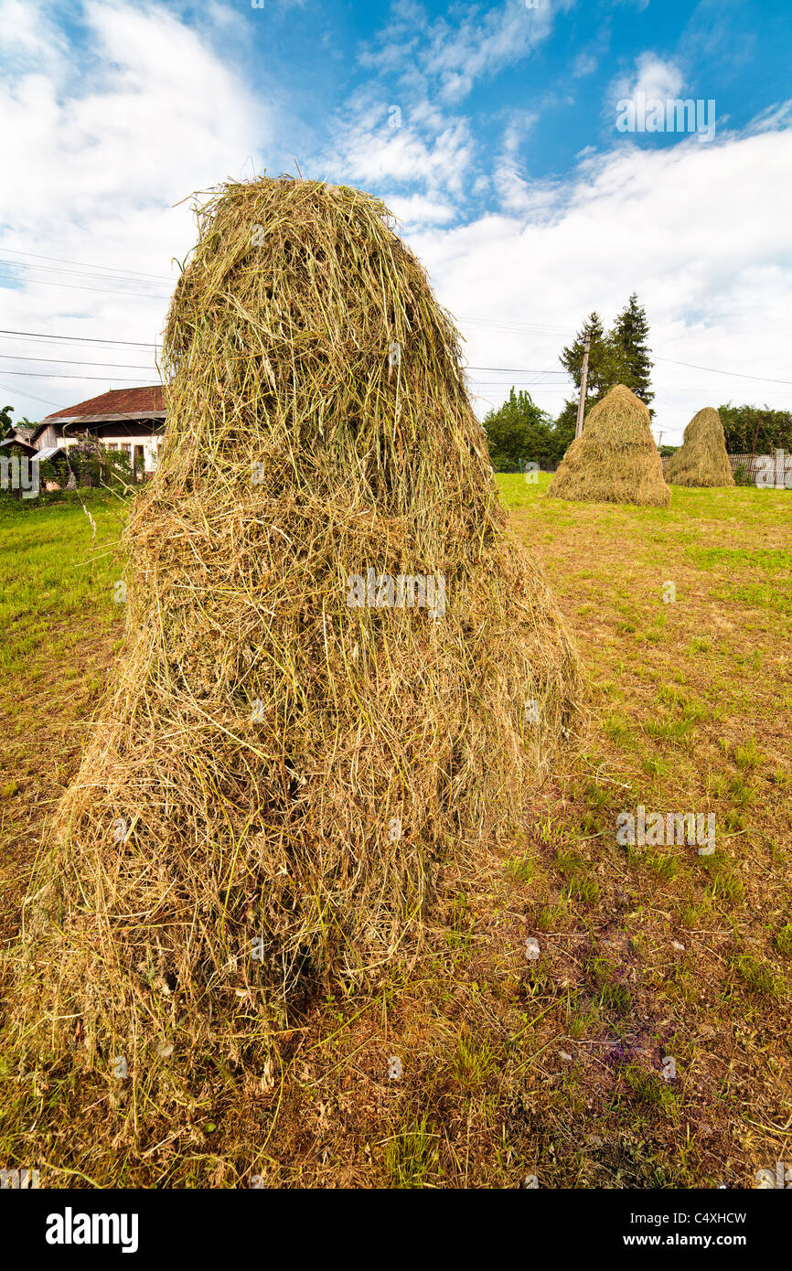 Landscape with hay stacks under blue sky in the countryside Stock Photo ...