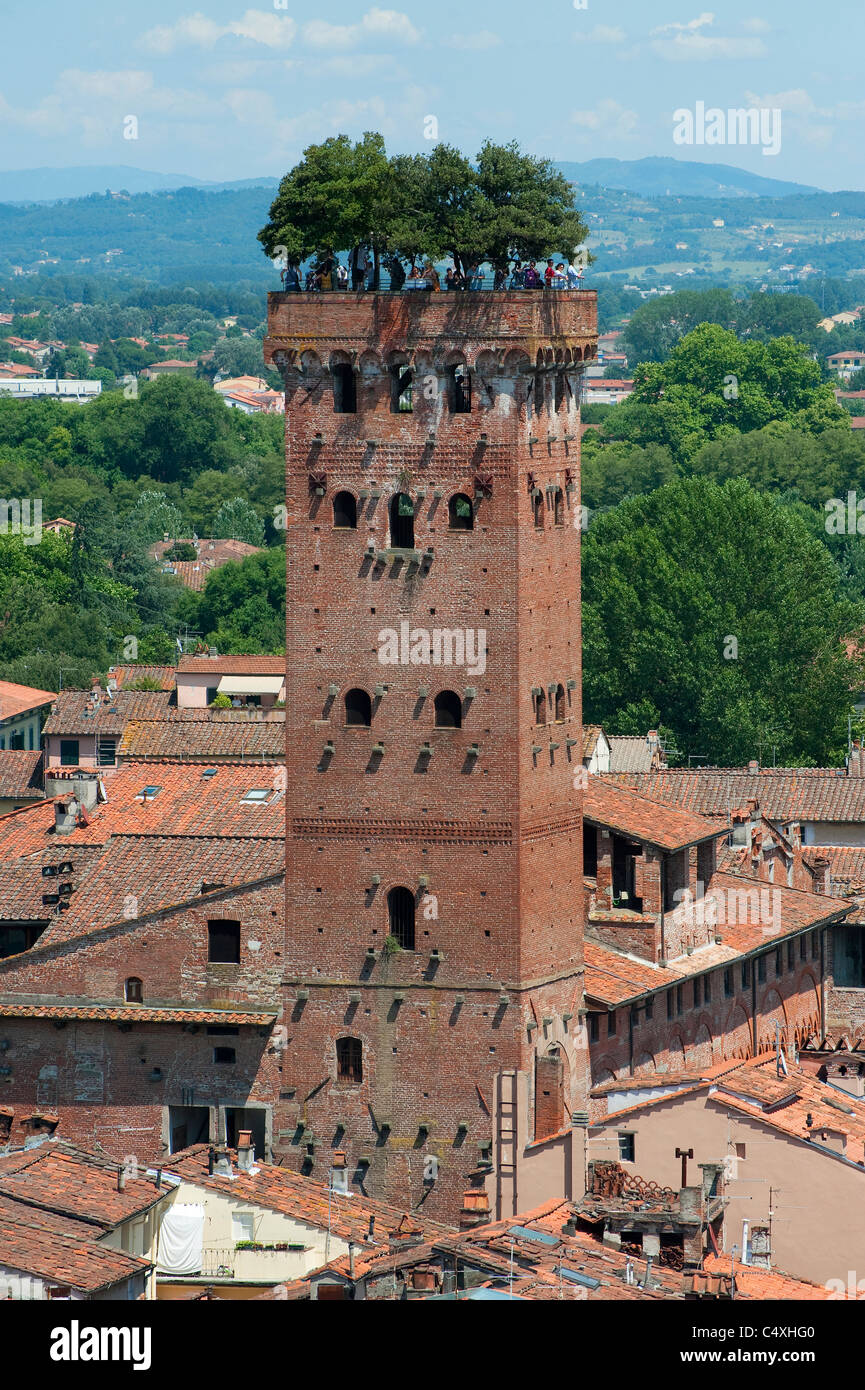 Lucca tower trees hi-res stock photography and images - Alamy