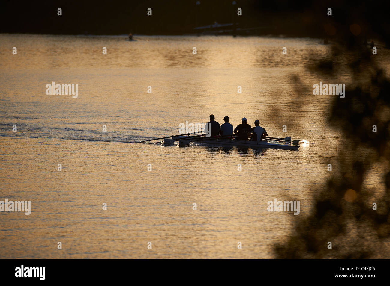 Boys rowing team hi-res stock photography and images - Alamy