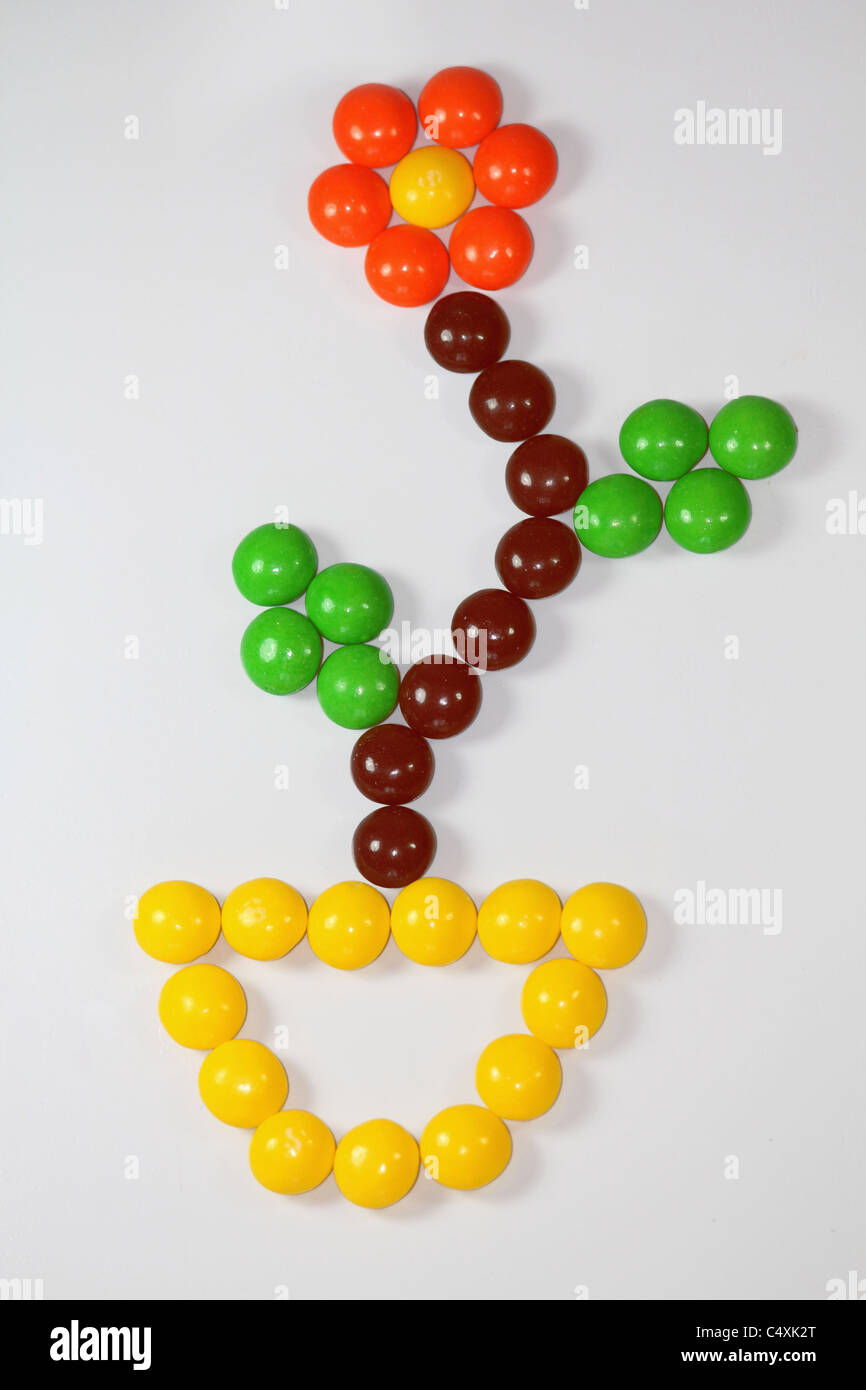 Multi-colored candies arranged in form of plant with flower on white ...