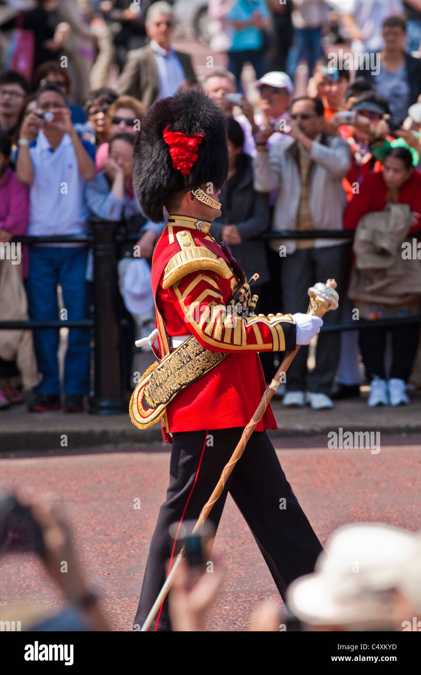 Drum major Coldstream guards leading the band to Buckingham palace ...