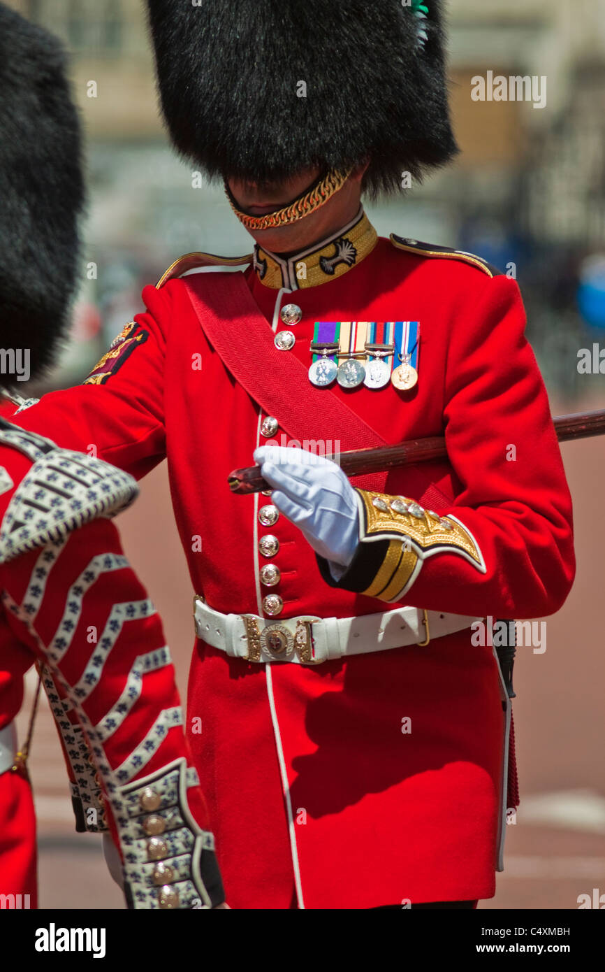 Officer of the welsh guards hi-res stock photography and images - Alamy