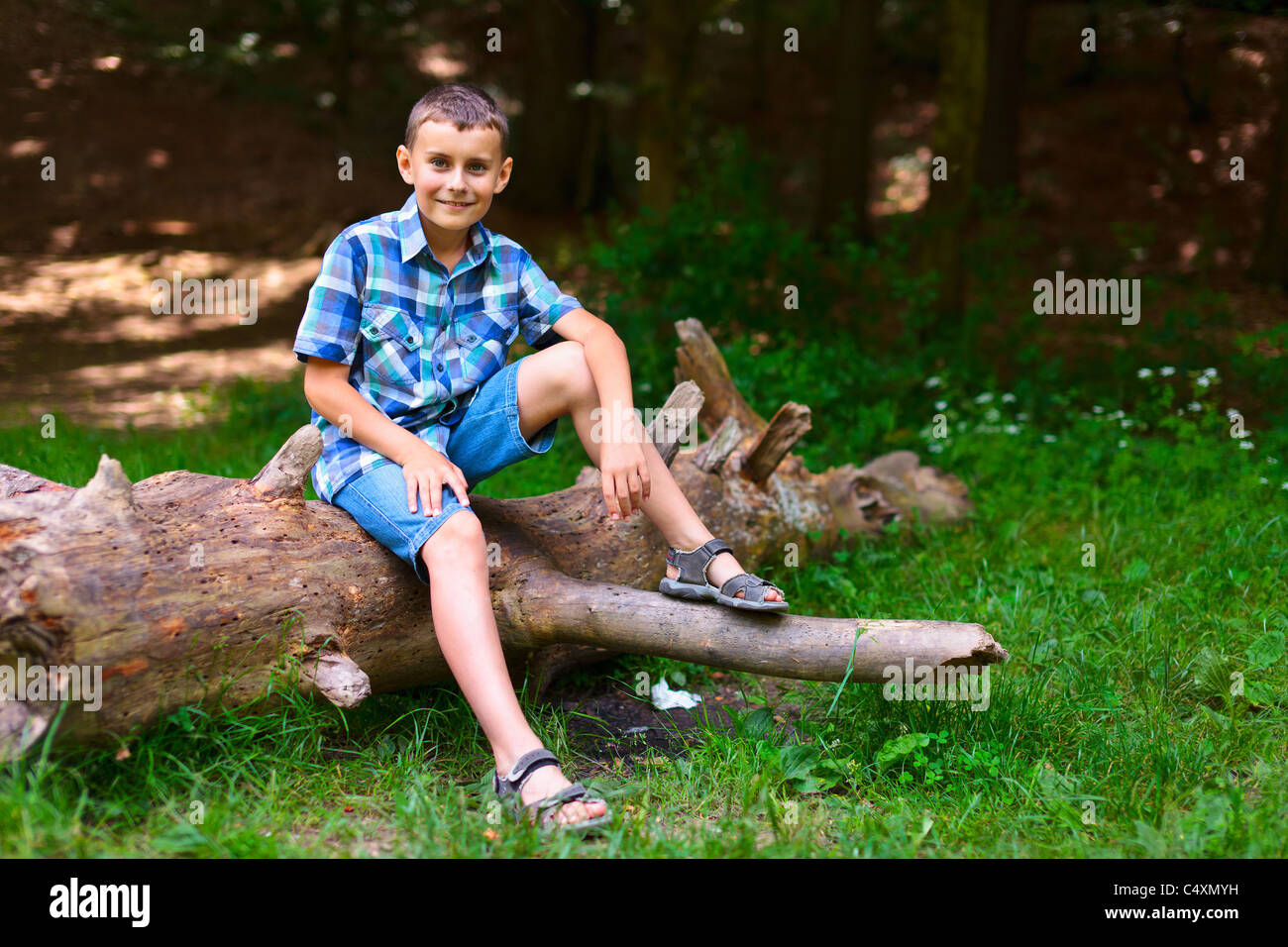 Boy sitting on log in forest hi-res stock photography and images - Alamy