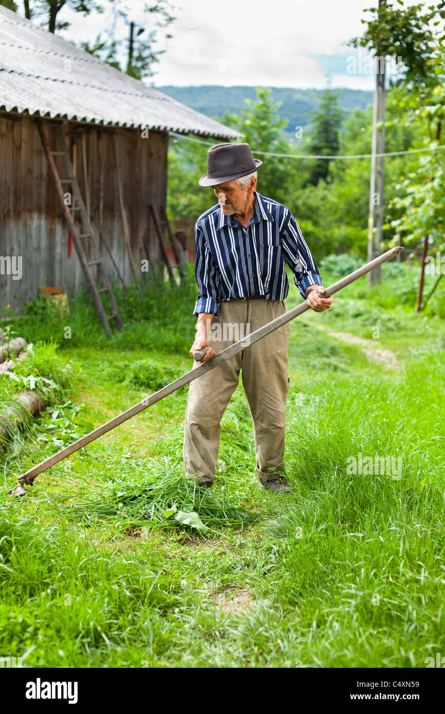 Senior farmer using scythe to mow the lawn traditionally Stock Photo ...