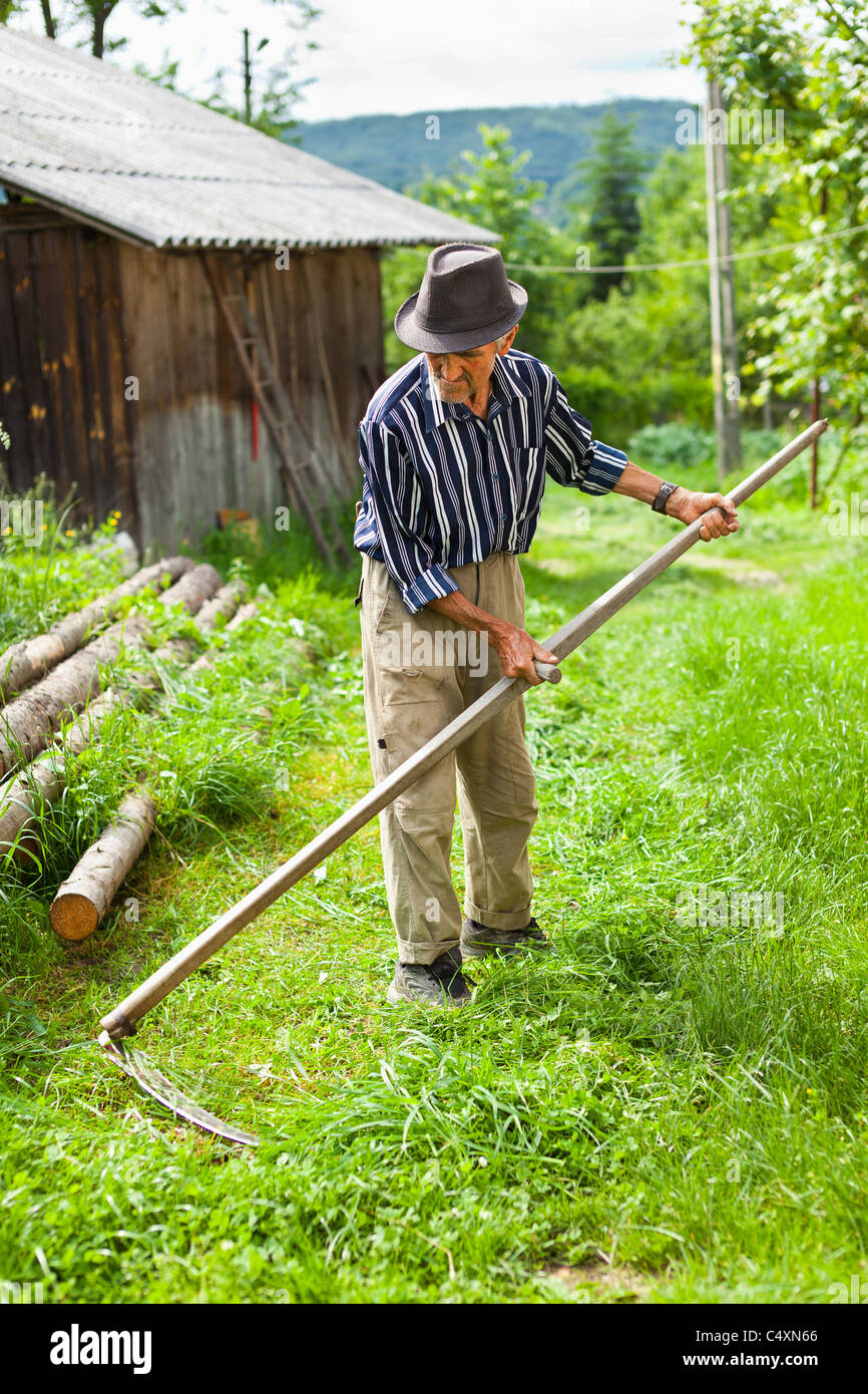 Senior farmer using scythe to mow the lawn traditionally Stock Photo ...