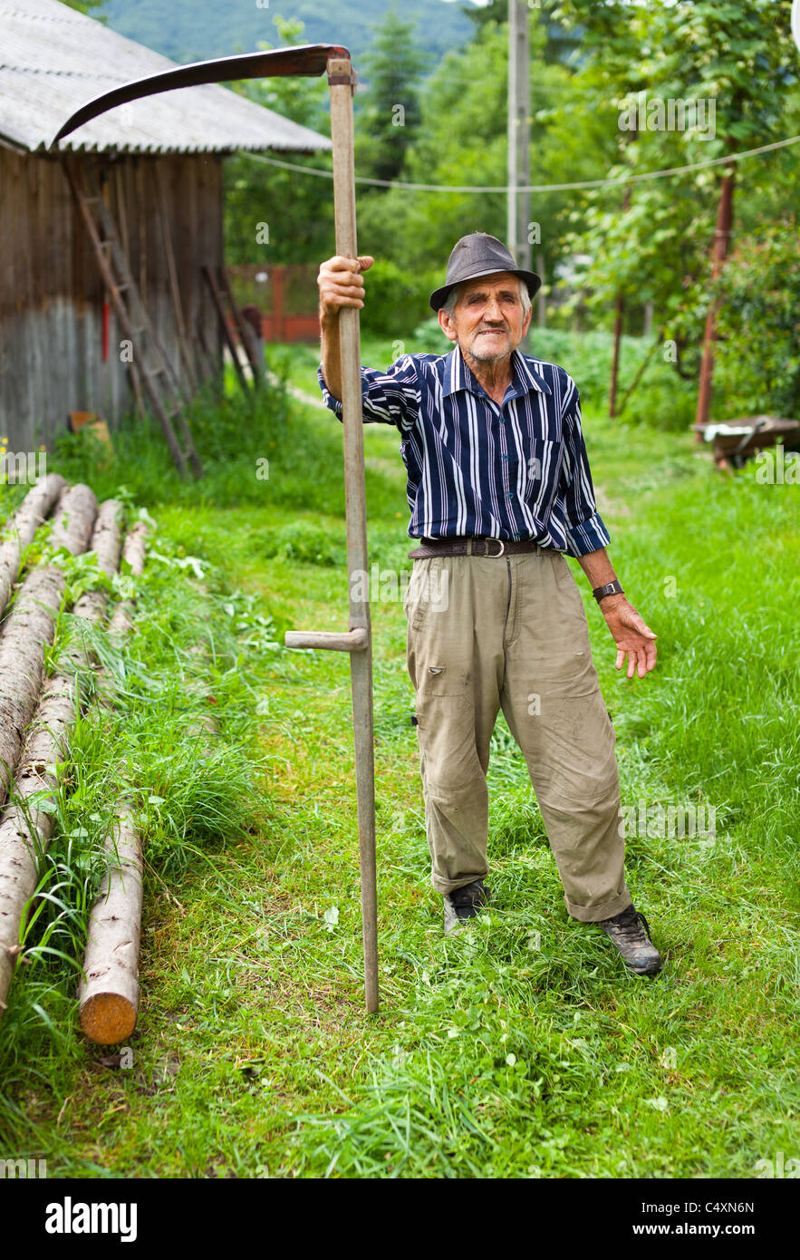Senior farmer using scythe to mow the lawn traditionally Stock Photo ...