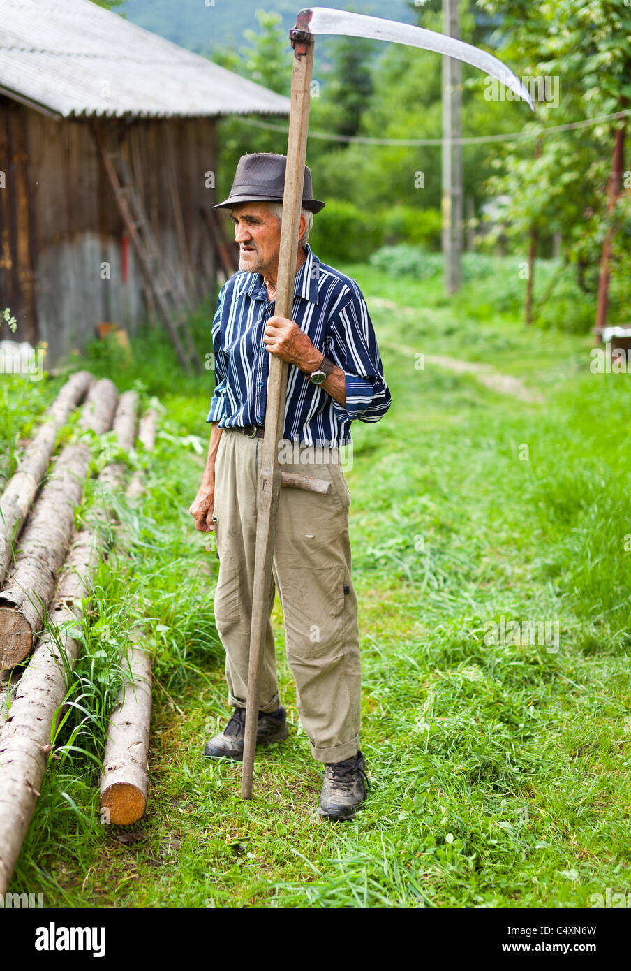 Senior farmer using scythe to mow the lawn traditionally Stock Photo ...