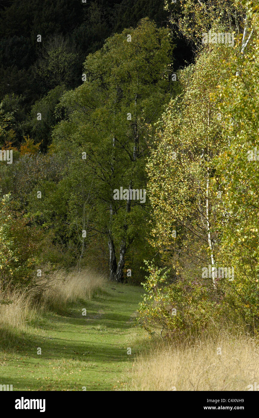 Juniper woodland habitat hi-res stock photography and images - Alamy