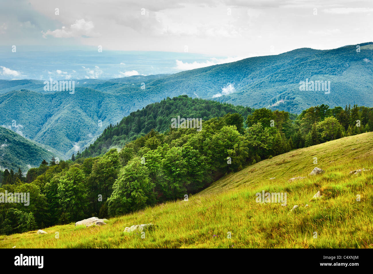 Landscape of Parang mountains in Romania, in summer Stock Photo - Alamy