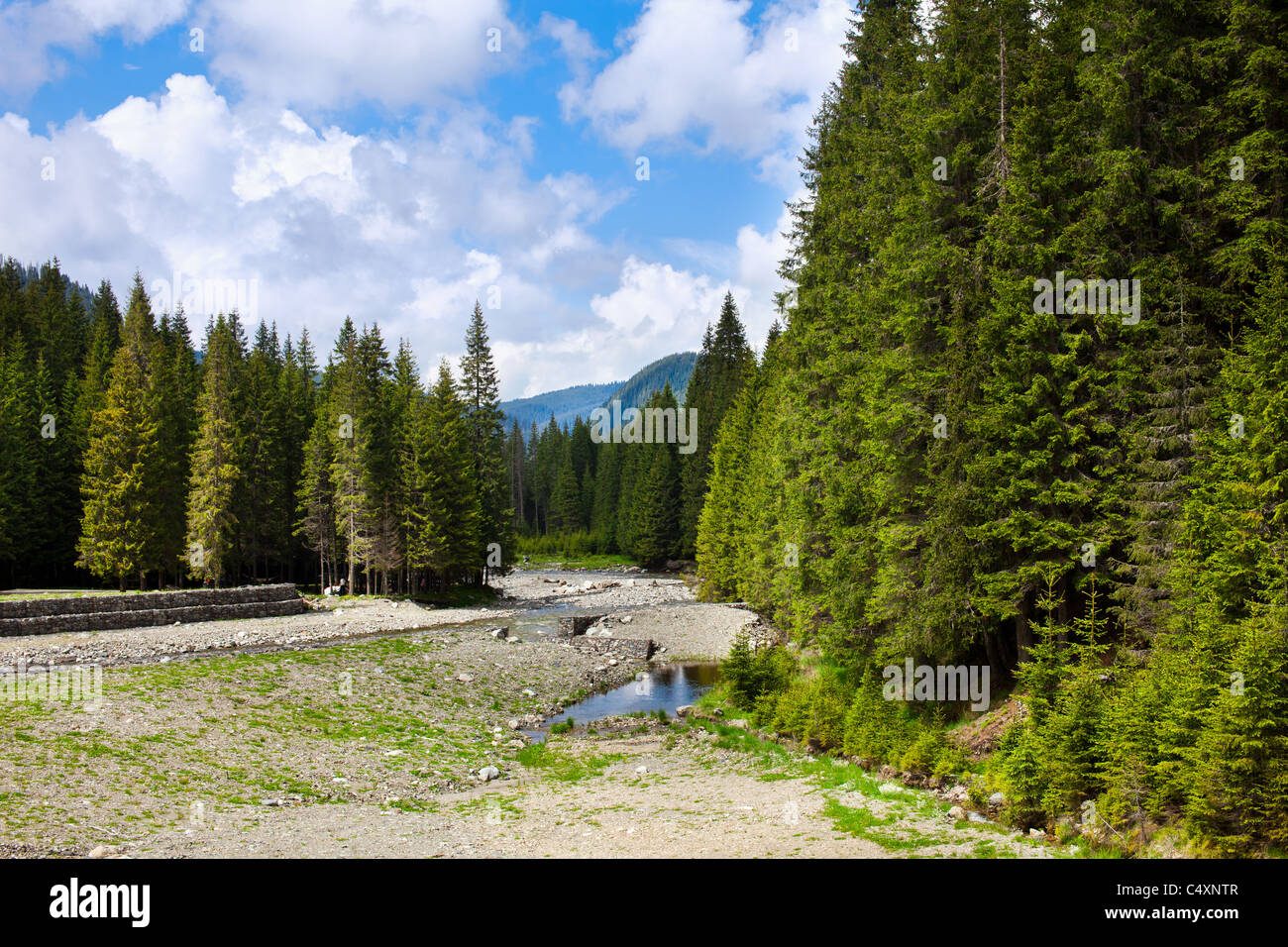 Landscape from Lotru river source in Romanian Carpathians mountains ...