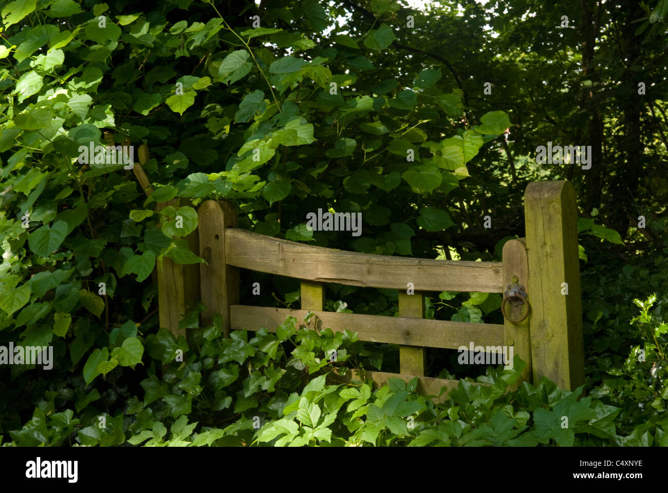 miniature gate on roadside near Seale, Surrey, UK Stock Photo - Alamy