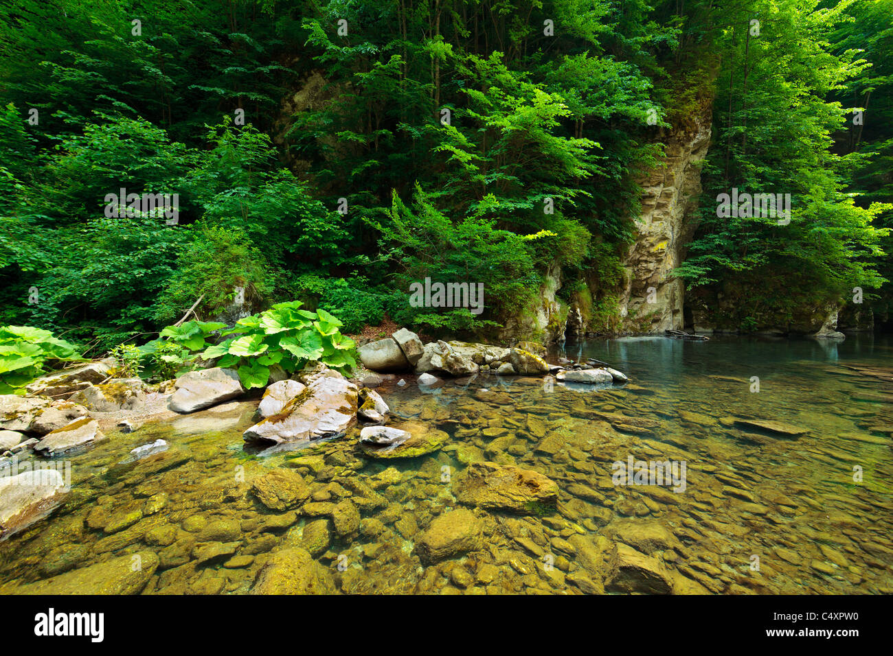 Landscape from Latoritei Valley in Romanian mountains with Latoritei ...