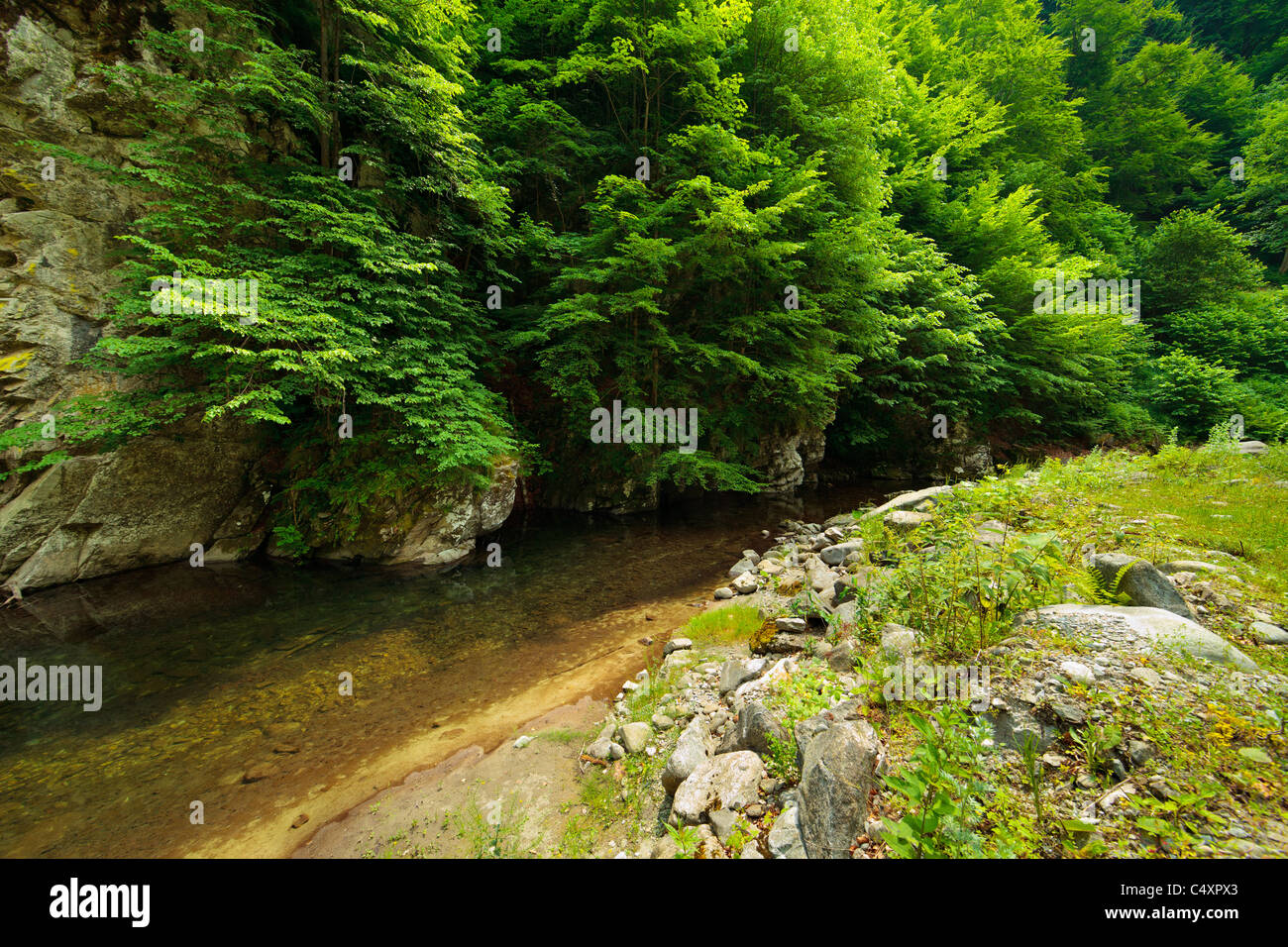 Landscape from Latoritei Valley in Romanian mountains with Latoritei ...