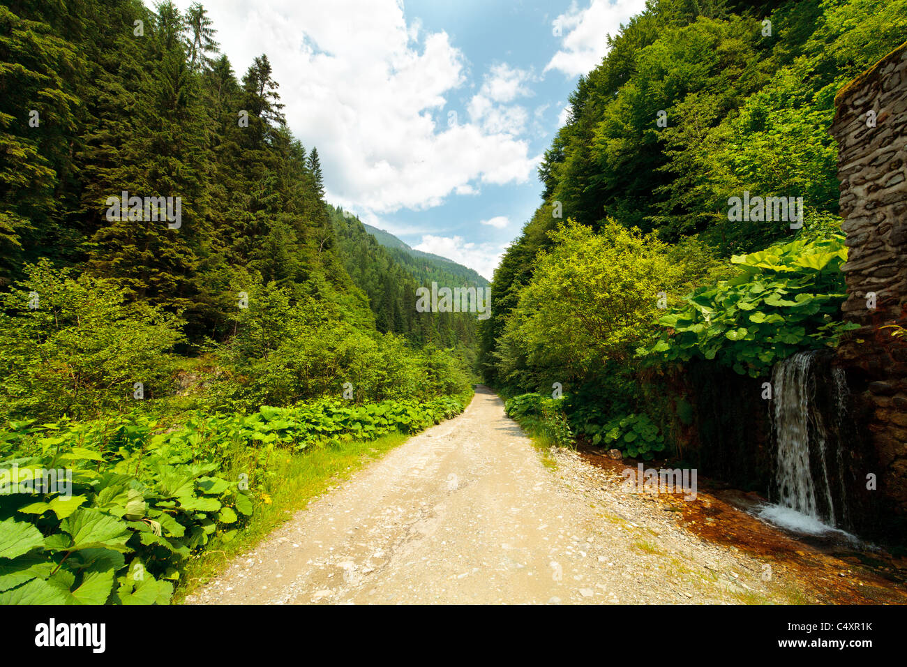 Landscape from Latoritei Valley in Romanian mountains Stock Photo - Alamy