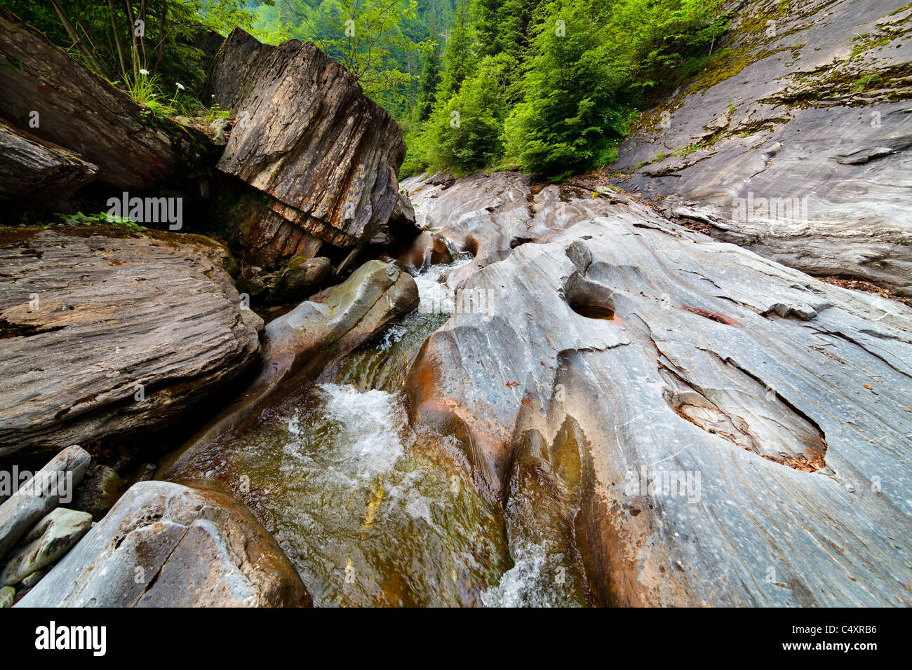 Landscape from Latoritei Valley in Romanian mountains with Latoritei ...