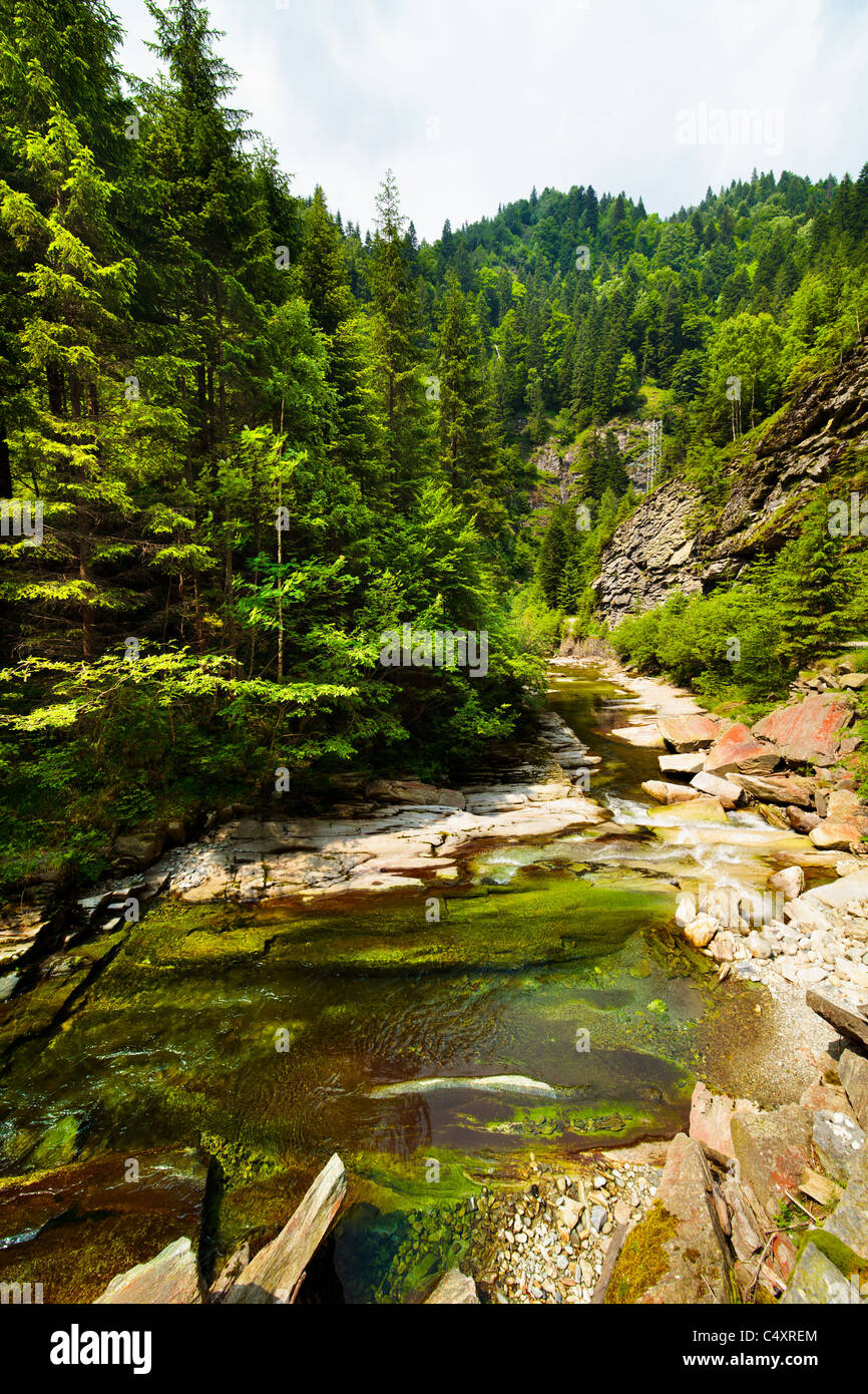 Landscape from Latoritei Valley in Romanian mountains with Latoritei ...