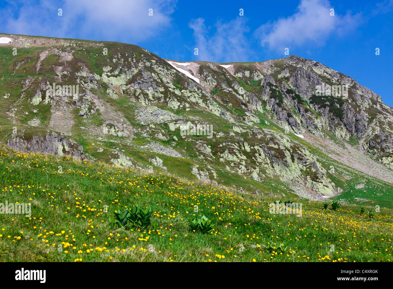 Landscape with Iezer peak of Parang mountains in Romania Stock Photo ...
