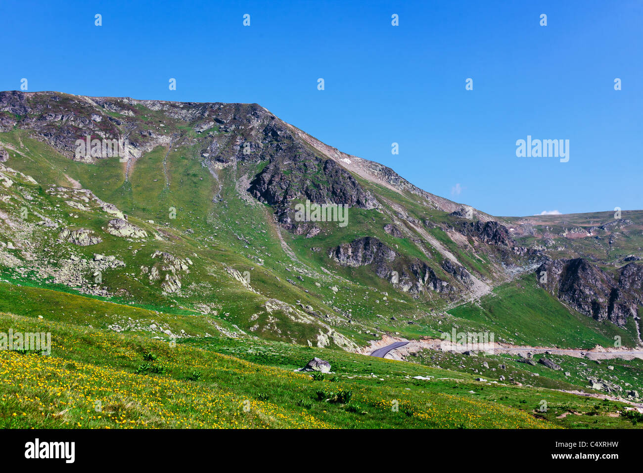 Landscape with Iezer peak of Parang mountains in Romania, in summer ...