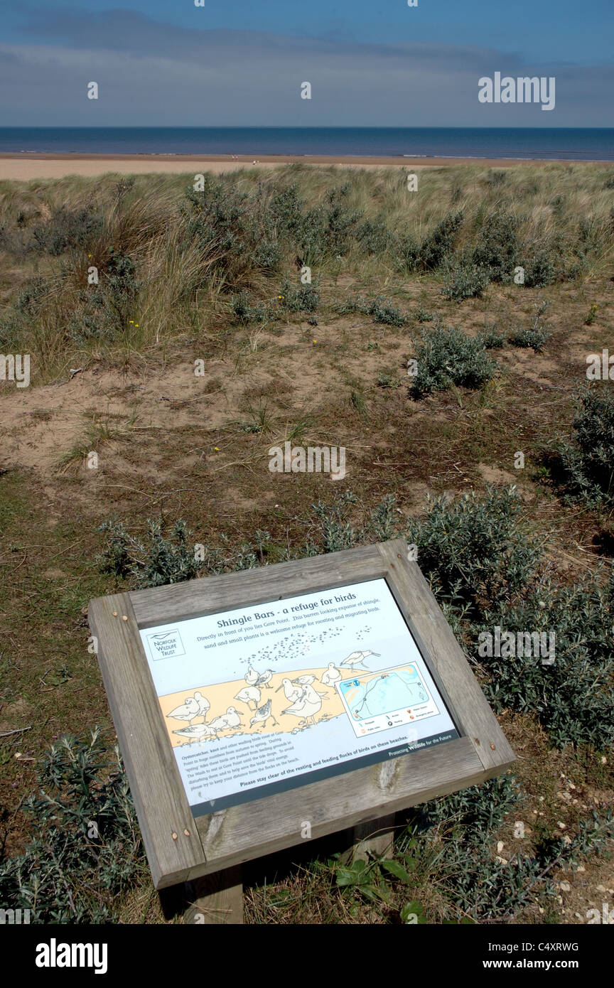 Gore Point, Holme Dunes Nature Reserve, Norfolk, UK Stock Photo - Alamy