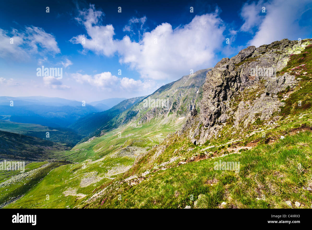 Landscape with Mohoru peak of Parang mountains in Romania, in summer ...
