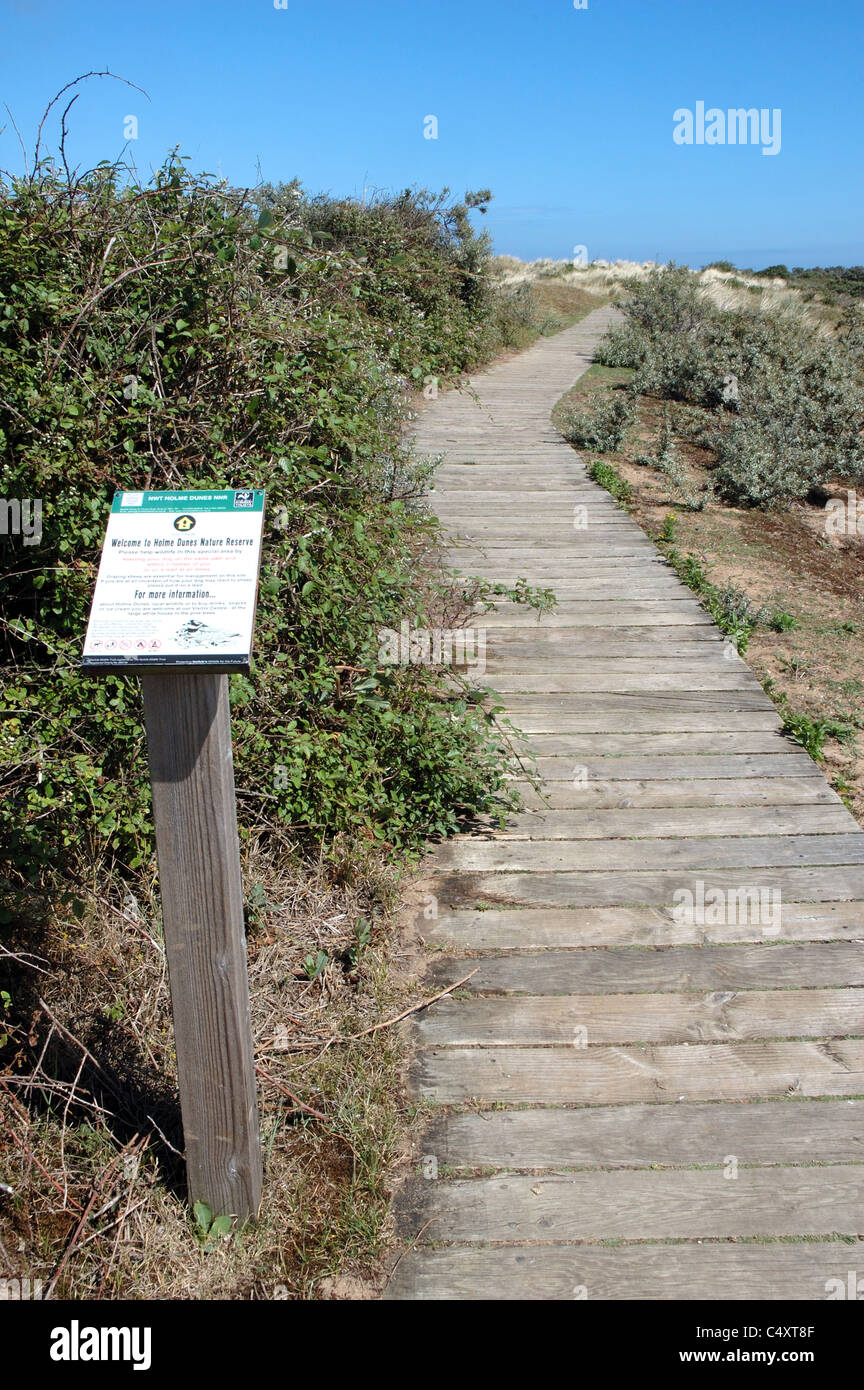 Holme dune nature reserve hi-res stock photography and images - Alamy