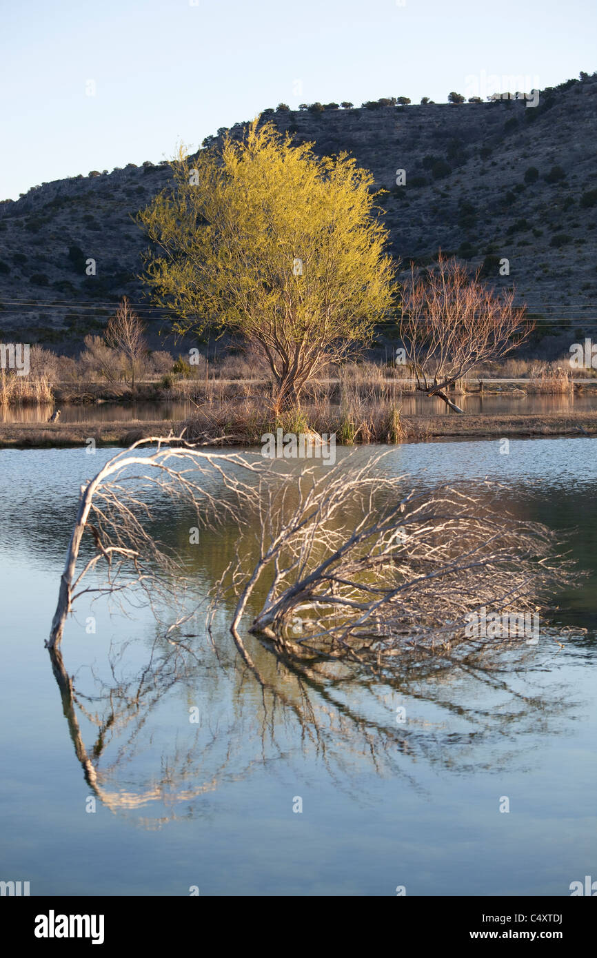 Independence lake preserve hi-res stock photography and images - Alamy